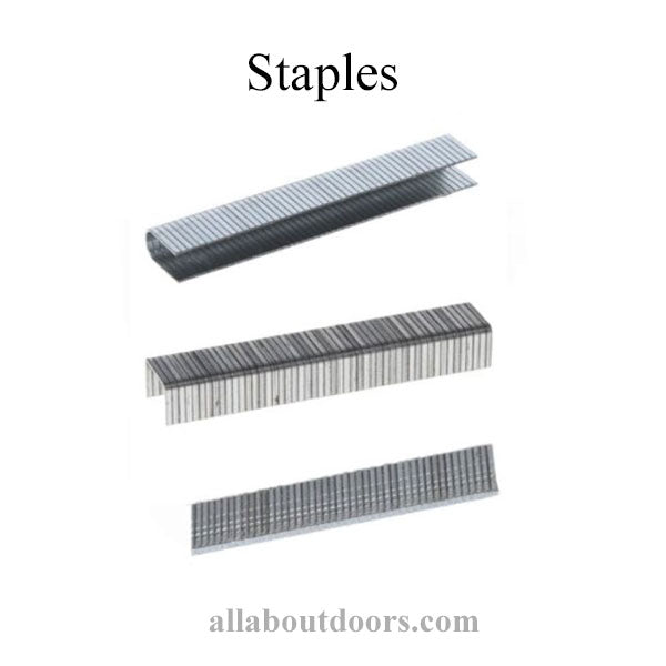 Staples – Door and Window Parts